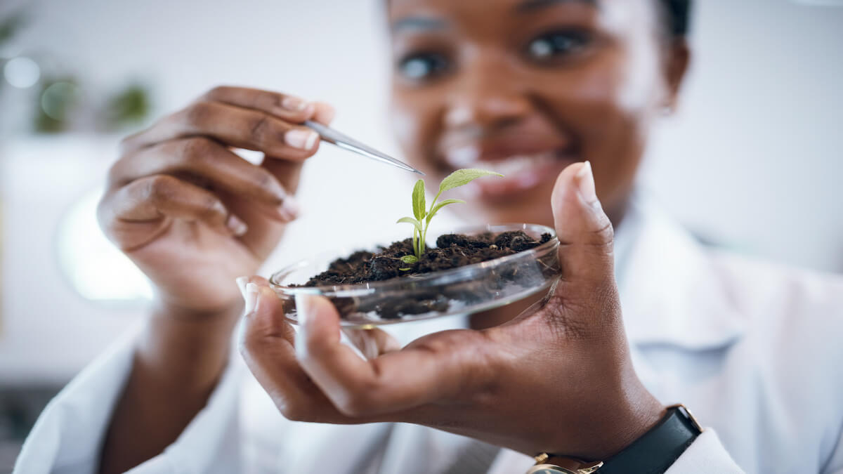 Environmental Science Young Professional-in-Training Programme at ...