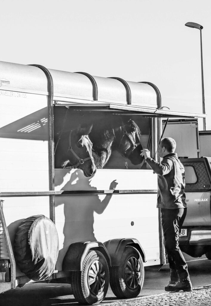 Code 14 Horse and Trailer Driver