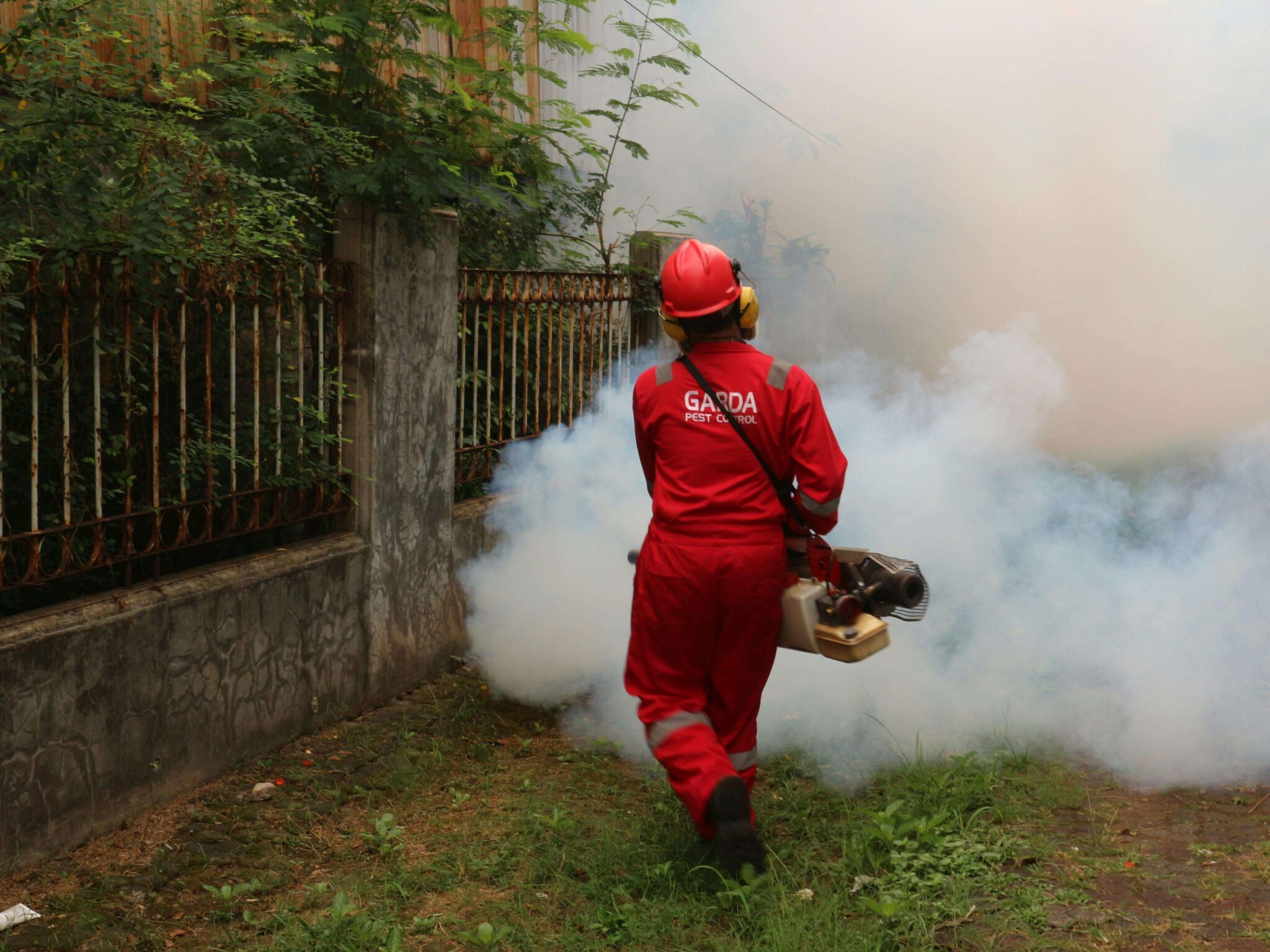Pest Control Services(3YEARS)